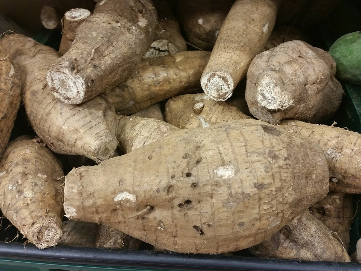 Kudzu Root, Dried, 2oz – Ginger's Roots