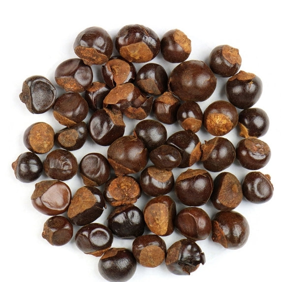 Guarana Seed, Dried, 2oz – Ginger's Roots